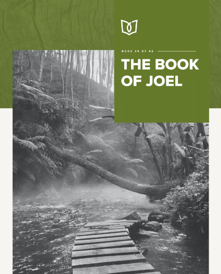 The Book Of Joel – Ministry Pass