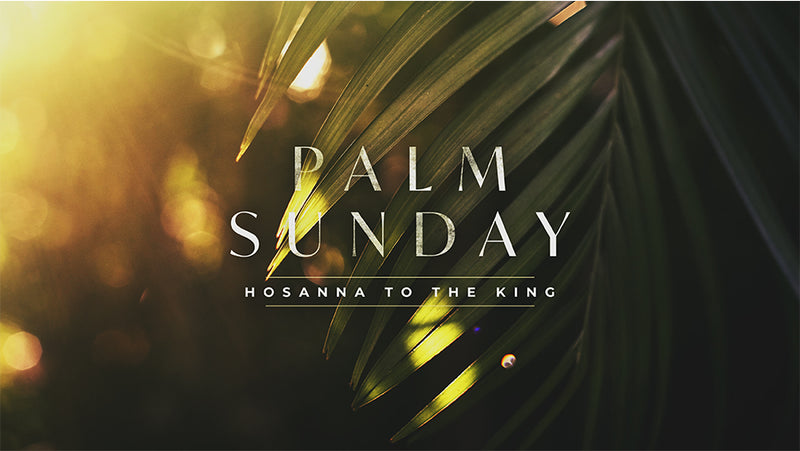 Palm Sunday – Ministry Pass