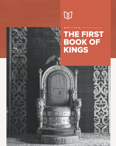 The First Book Of Kings – Ministry Pass
