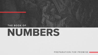 The Book of Numbers: Preparation For Promise – Ministry Pass