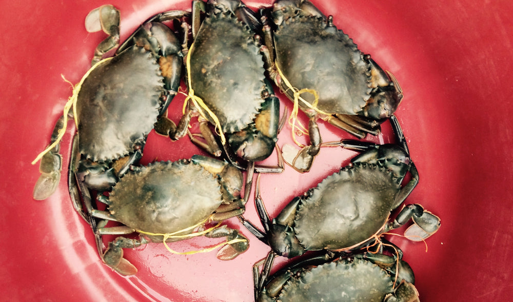 Crabs In A Bucket – Ministry Pass